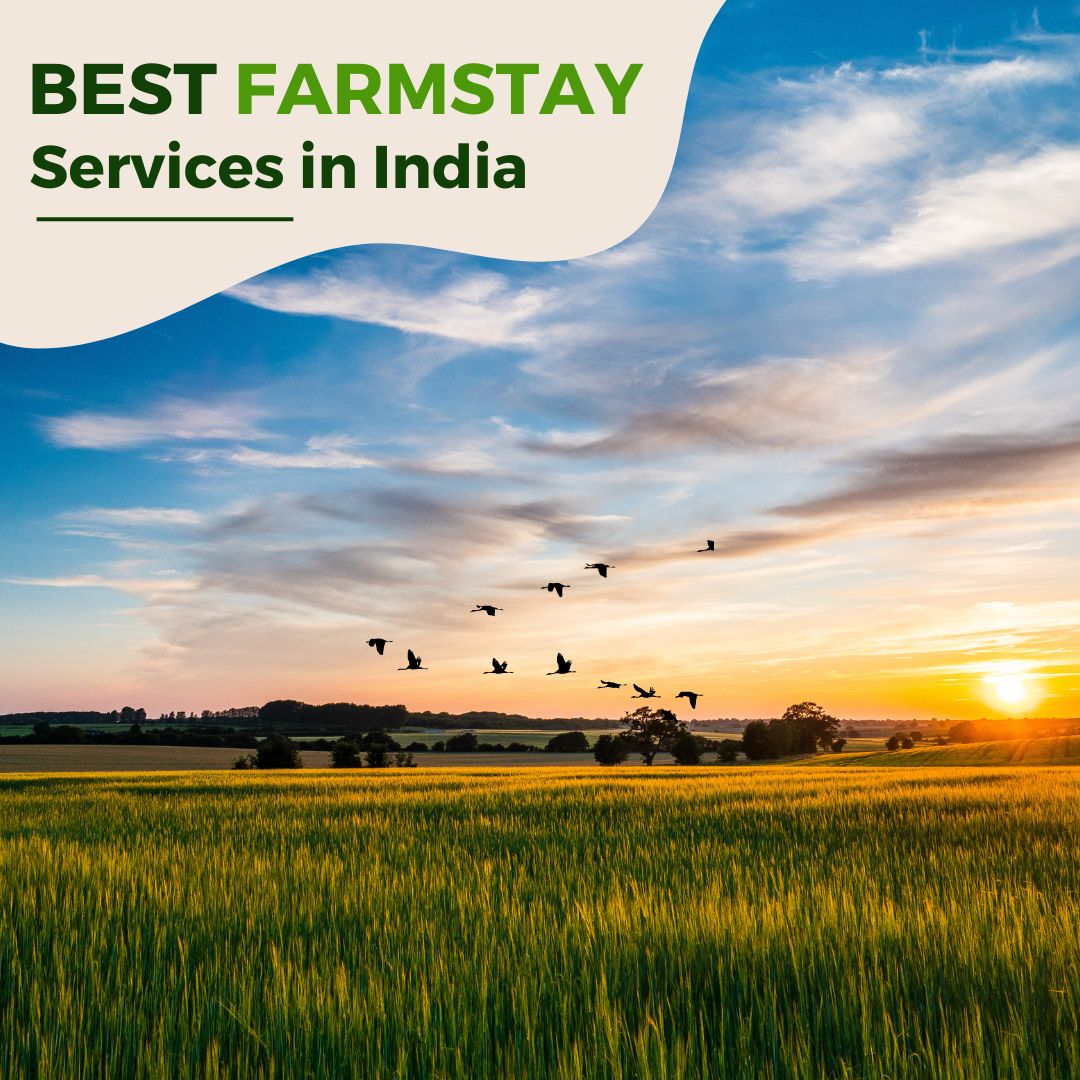 Contact Us | Trip to Farm