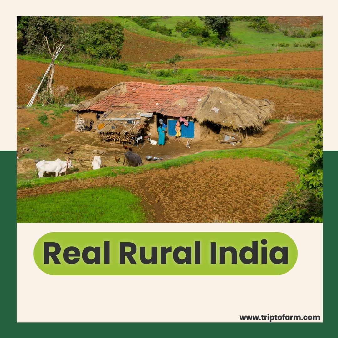 6 Easiest Ways To Discover Real Rural India