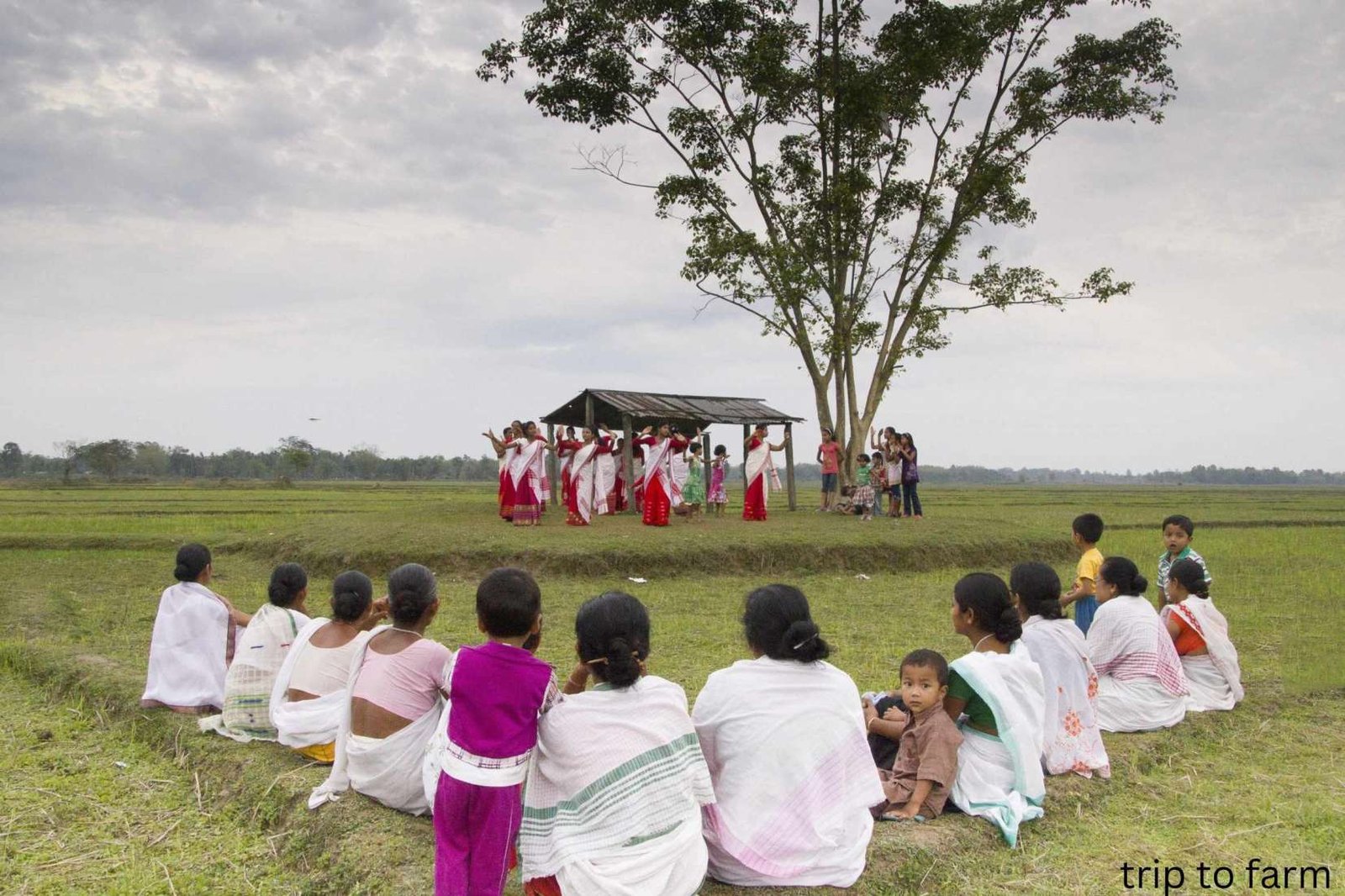Exploring the Cultural importance of Assam in India
