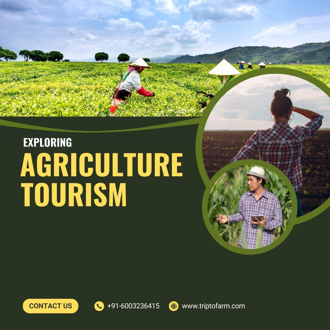 Exploring Agriculture Tourism in India